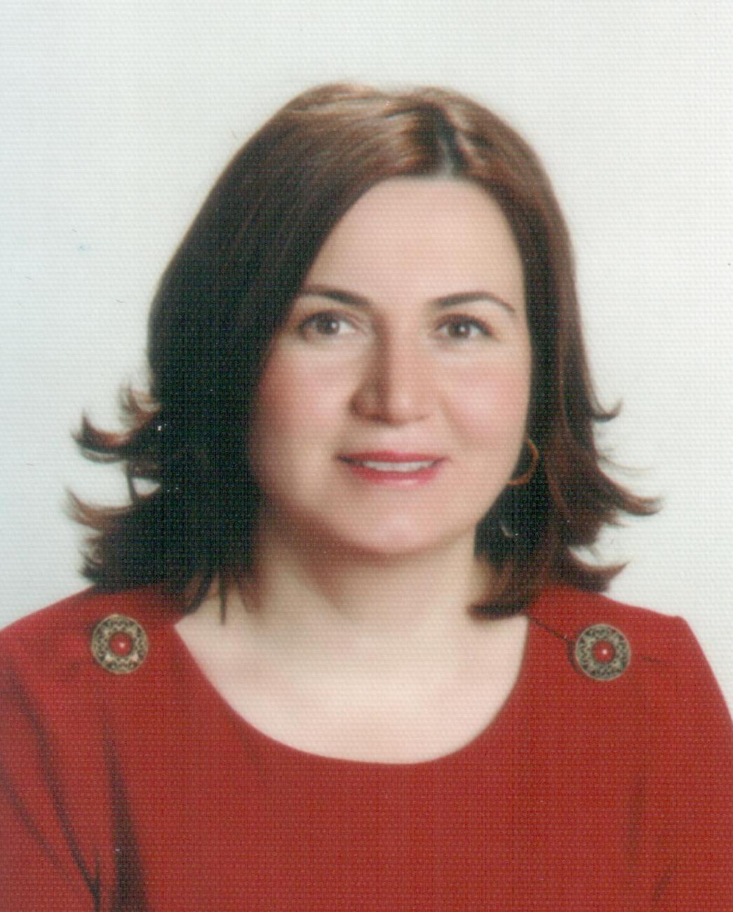 T.C. Bursa Valiliği - İdari ve Mali İşler Müdürlüğü T.C. Bursa Valiliği - İdari ve Mali İşler Müdürlüğü